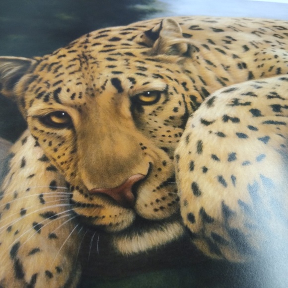 Harold Rigsby | Wall Decor | Leopard By Harold Rigsby 2150 Signed ...